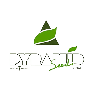 Купить семена конопли Pyramid Seeds ( Киев, Львов, Харьков, Винница ...